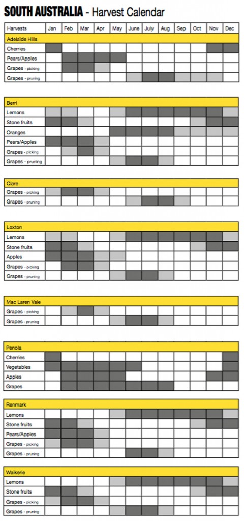 Fruit picking seasons Australia - Harvest Calendar