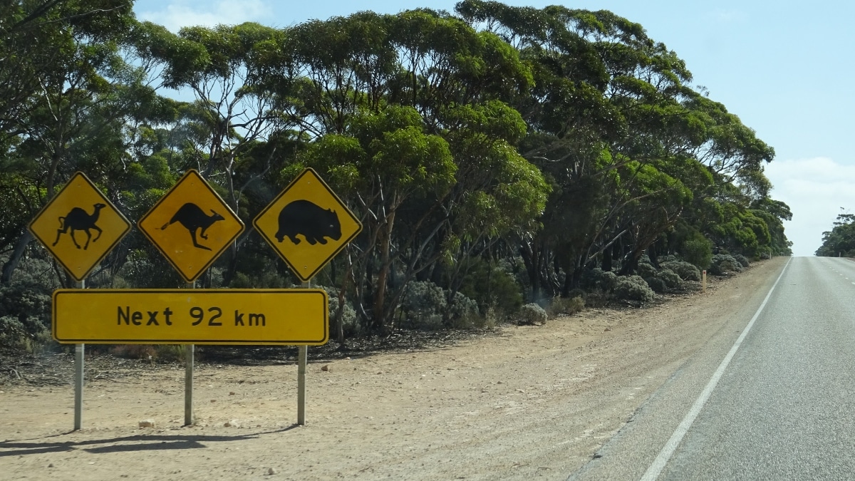 8 Safety Tips for Driving in Australia that you should know
