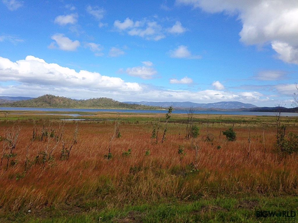 Australia Farm Work - 8 Best Locations - Backpackers Guide