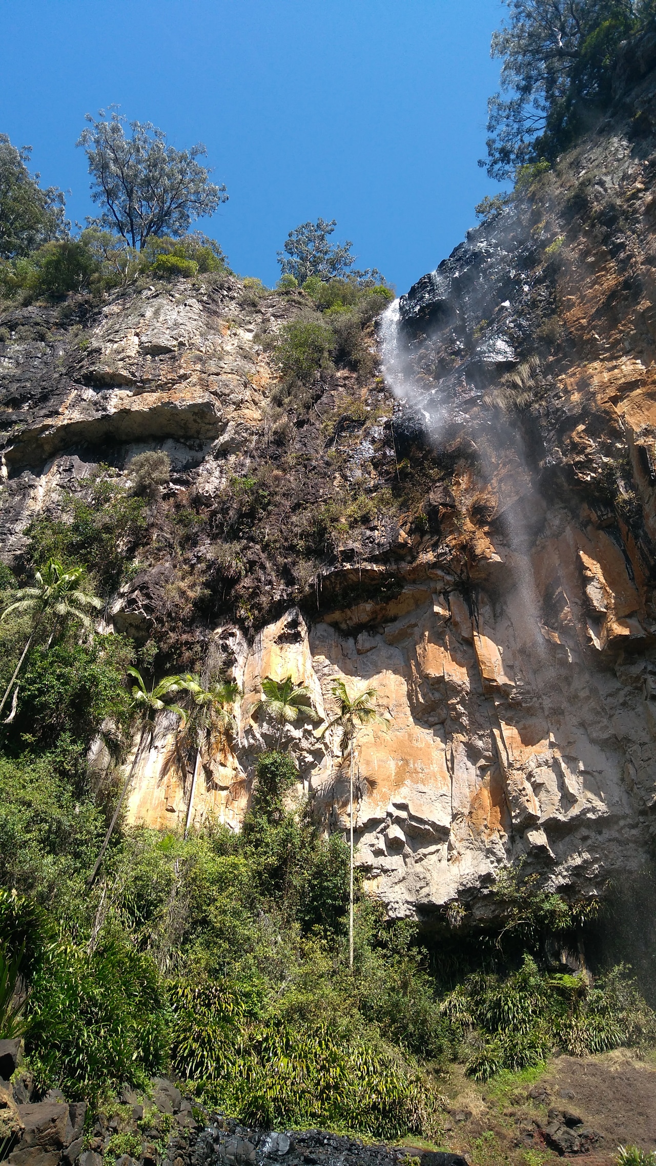 Things to do on the Gold Coast: Top 10 - Backpackers Guide Australia