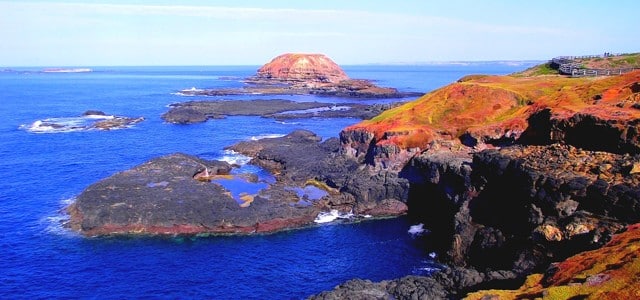 Phillip Island - The Penguin Island - Australia Backpackers Guide
